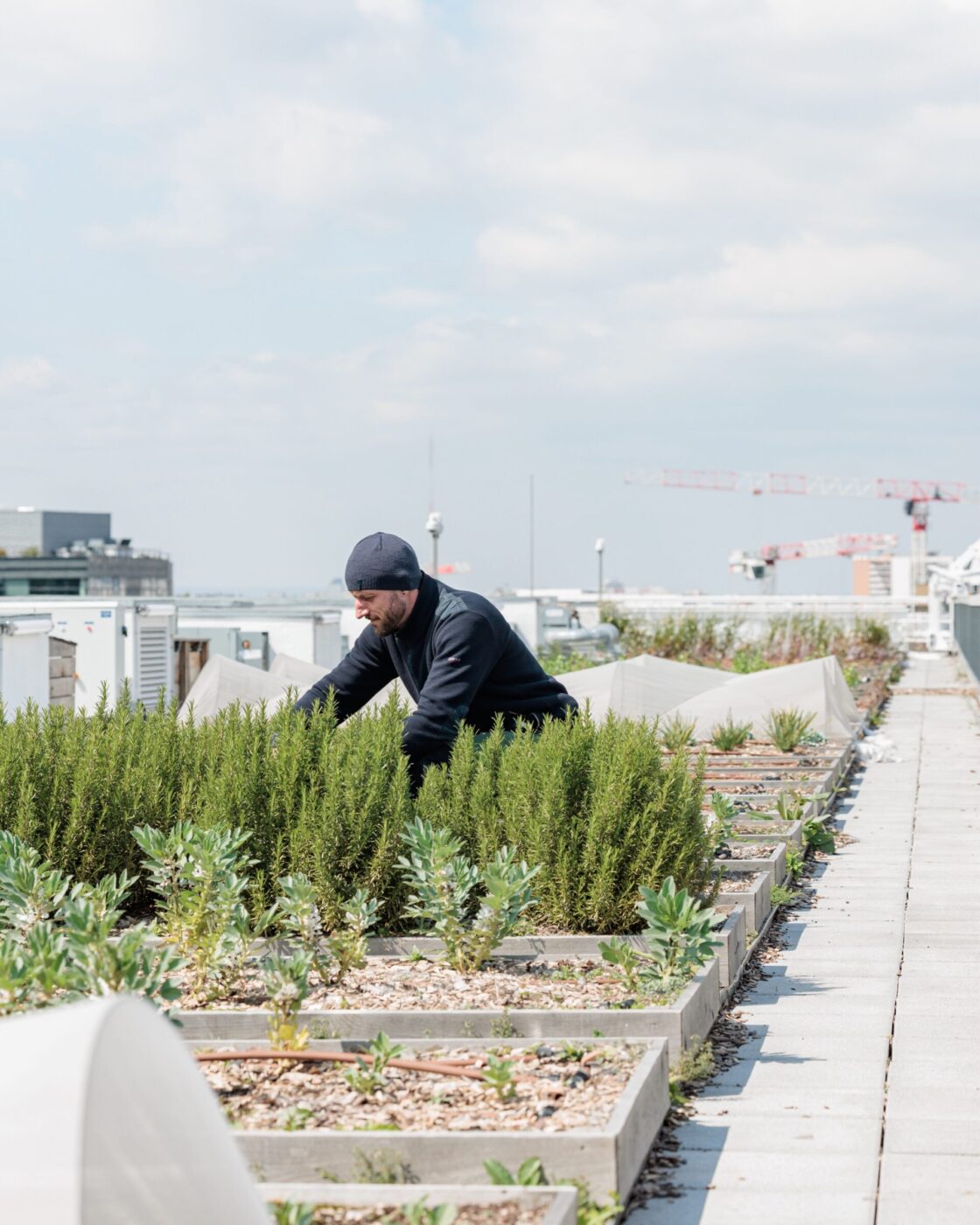 Stream Building | PCA–STREAM