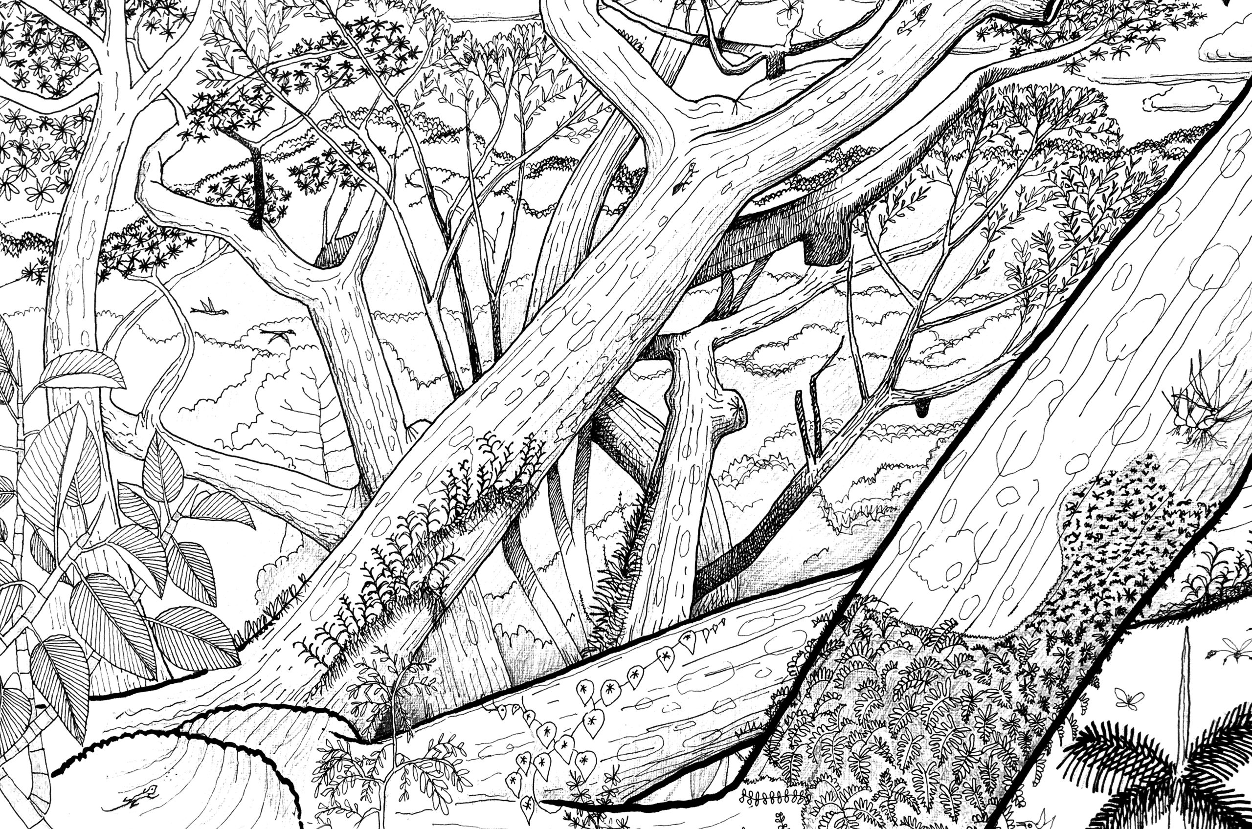 Le temps des arbres | PCA–STREAM