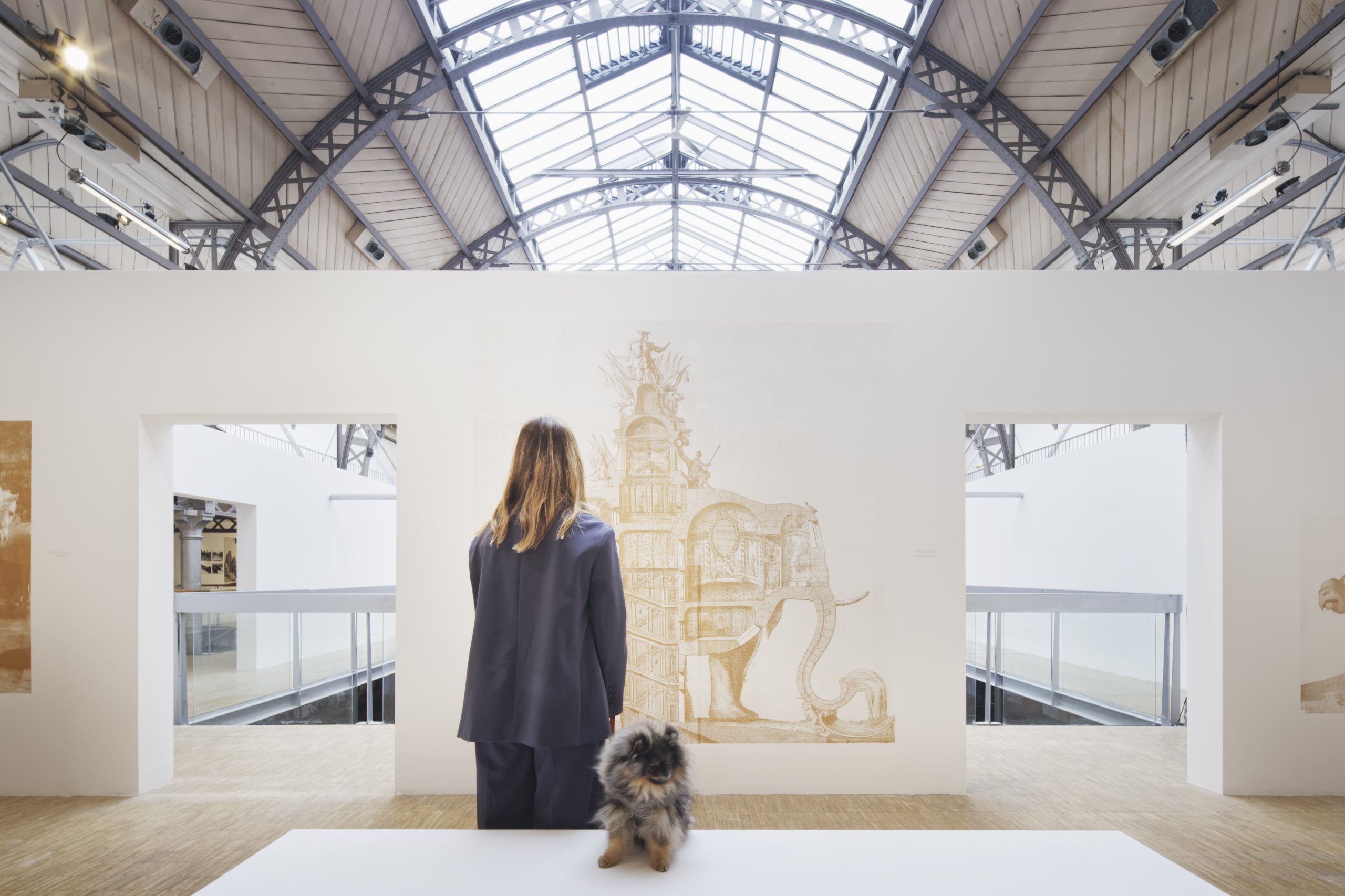 Animals in Paris | PCA – STREAM